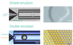 Integration of the efficient microfluidic technologies - Secoya : Secoya