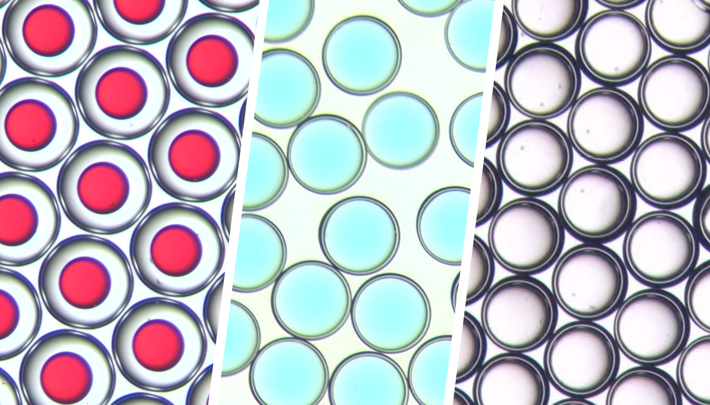 New White Paper 5 Use Cases Of Controlled Double Emulsification Process For Encapsulation