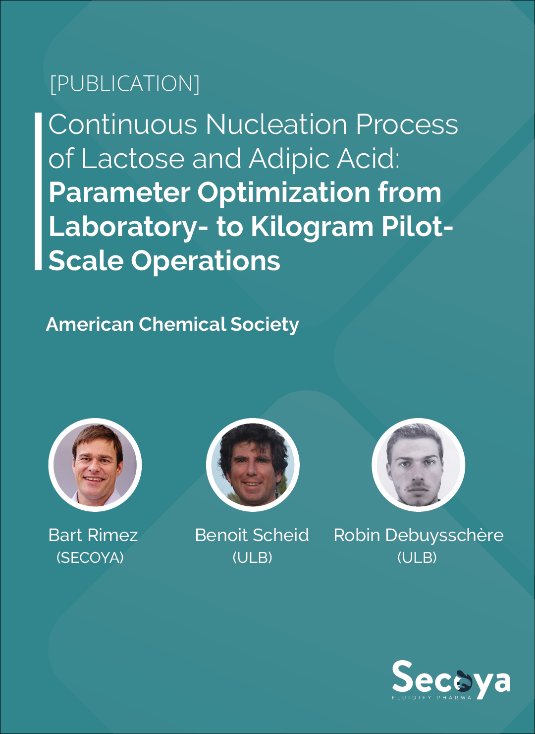 ACS publication: Parameter Optimization from Laboratory- to Kilogram ...