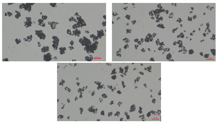 Development of a complete process cycle from lab to pilot scale and ...