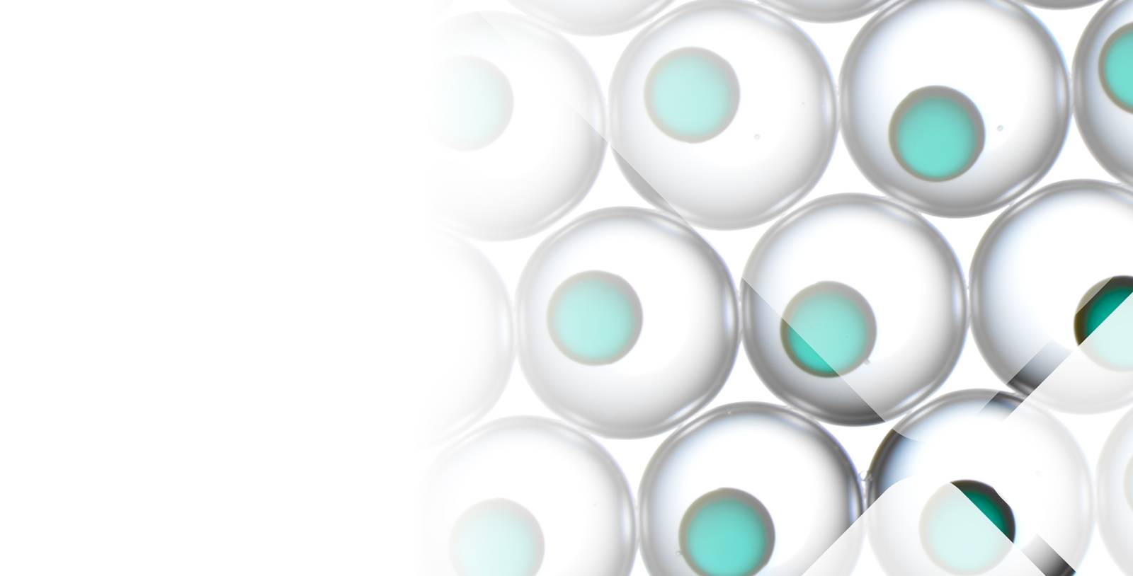 Home - Secoya Technologies : Secoya