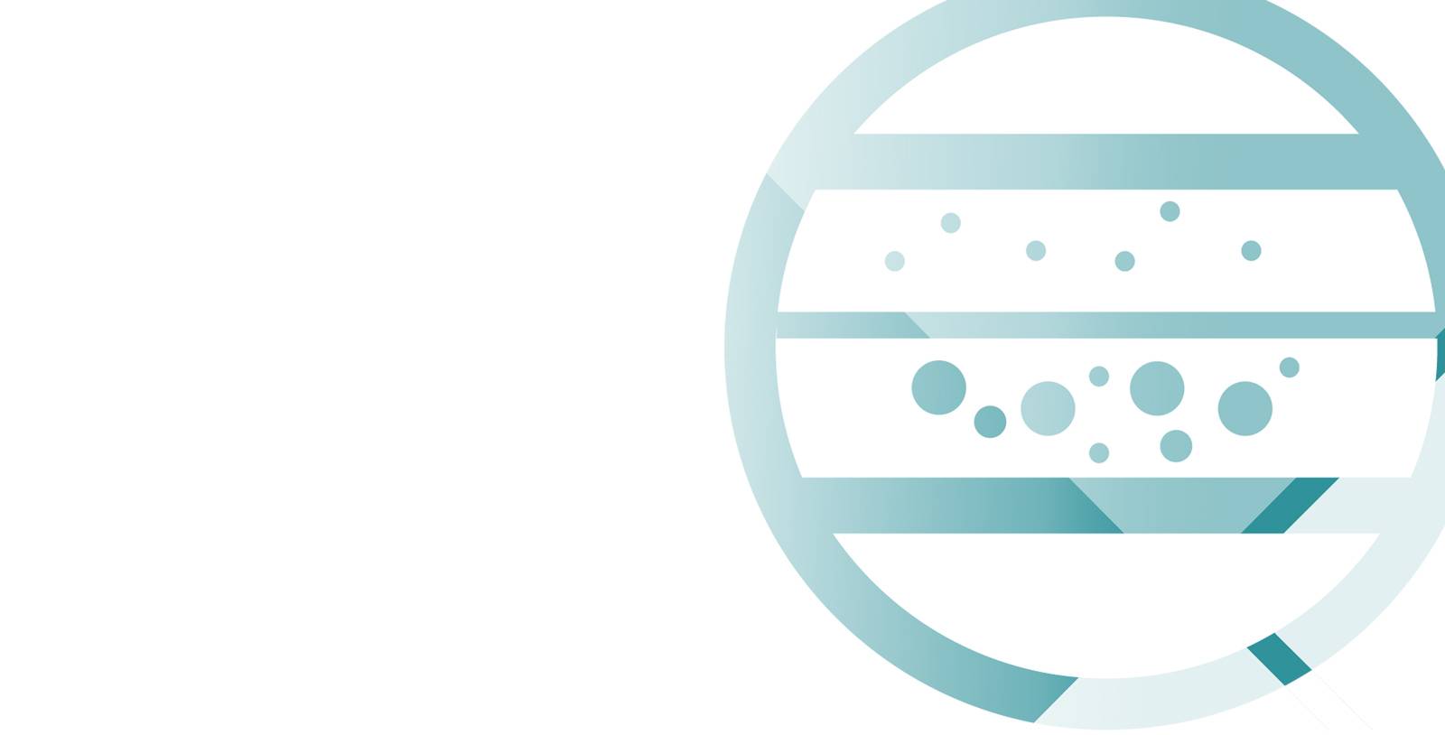 Home - Secoya Technologies : Secoya